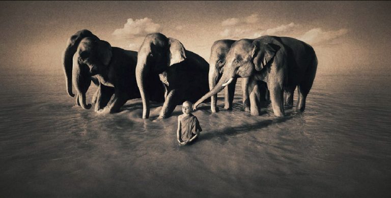 "Ashes and Snow" – Gregory Colbert | The Forest