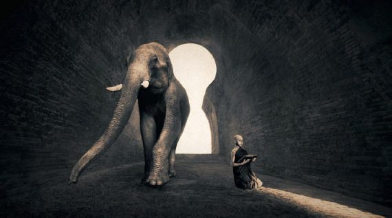 "Ashes and Snow" – Gregory Colbert | The Forest