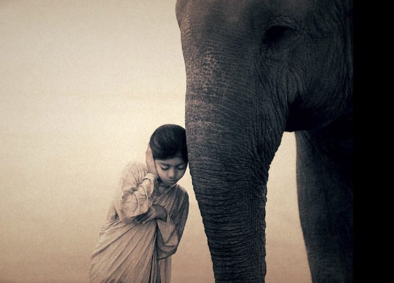 "Ashes and Snow" – Gregory Colbert | The Forest