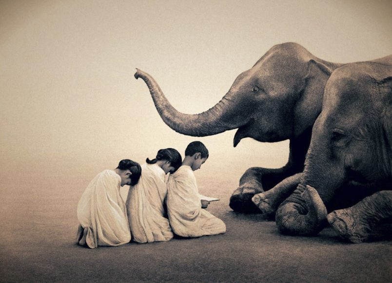 "Ashes and Snow" – Gregory Colbert | The Forest