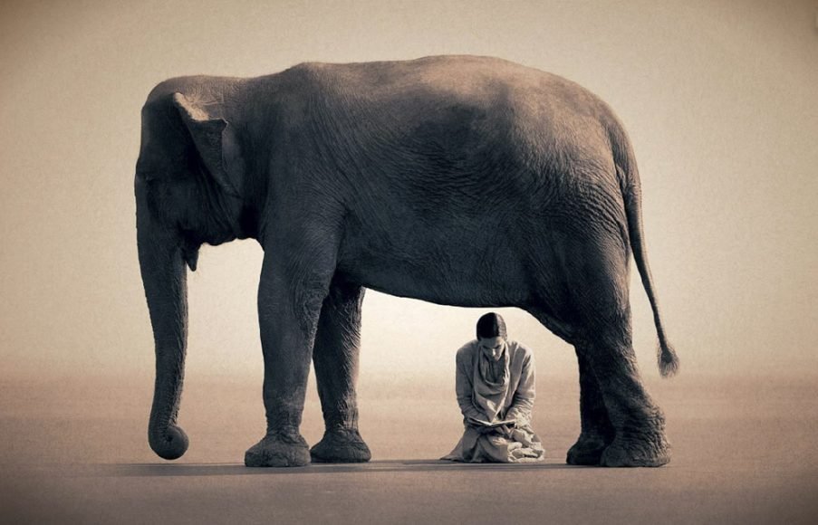 "Ashes and Snow" – Gregory Colbert | The Forest