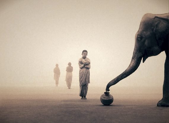 "Ashes and Snow" – Gregory Colbert | The Forest