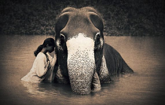 "Ashes and Snow" – Gregory Colbert | The Forest