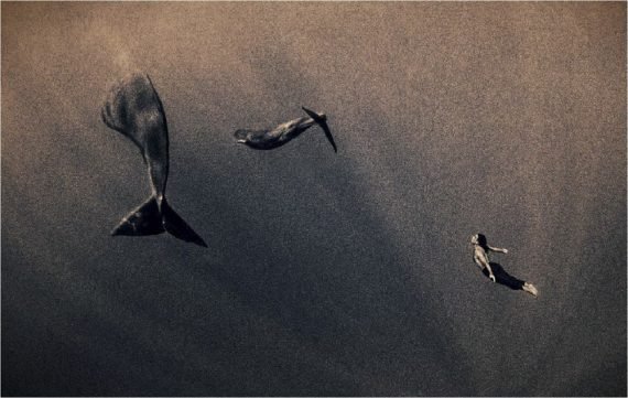 "Ashes and Snow" – Gregory Colbert | The Forest