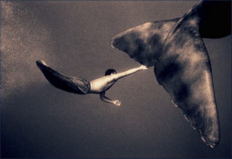 "Ashes and Snow" – Gregory Colbert | The Forest