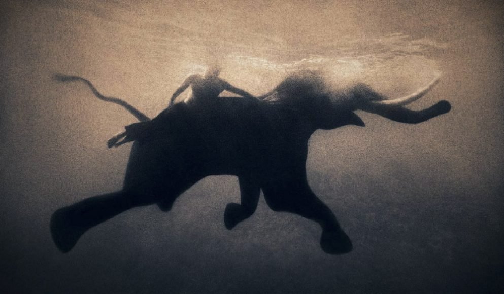 "Ashes and Snow" – Gregory Colbert | The Forest