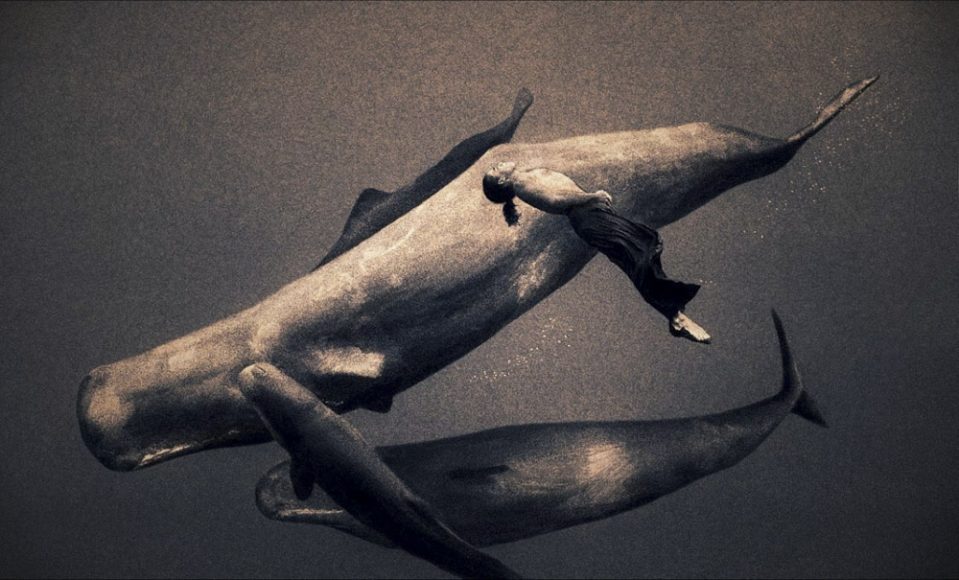 "Ashes and Snow" – Gregory Colbert | The Forest