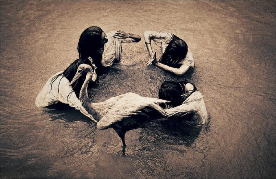 "Ashes and Snow" – Gregory Colbert | The Forest