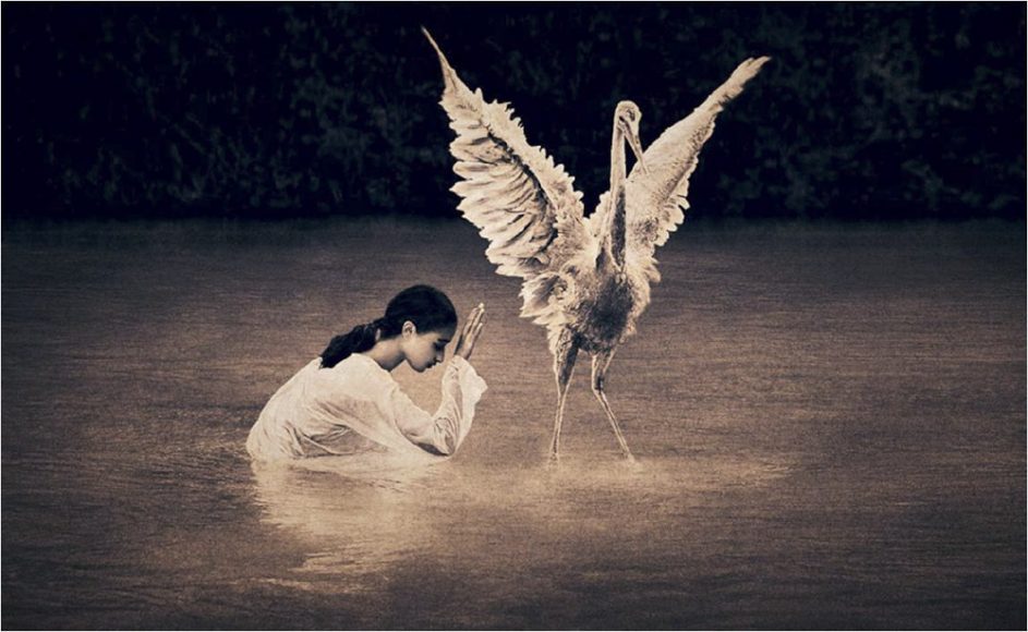 "Ashes and Snow" – Gregory Colbert | The Forest