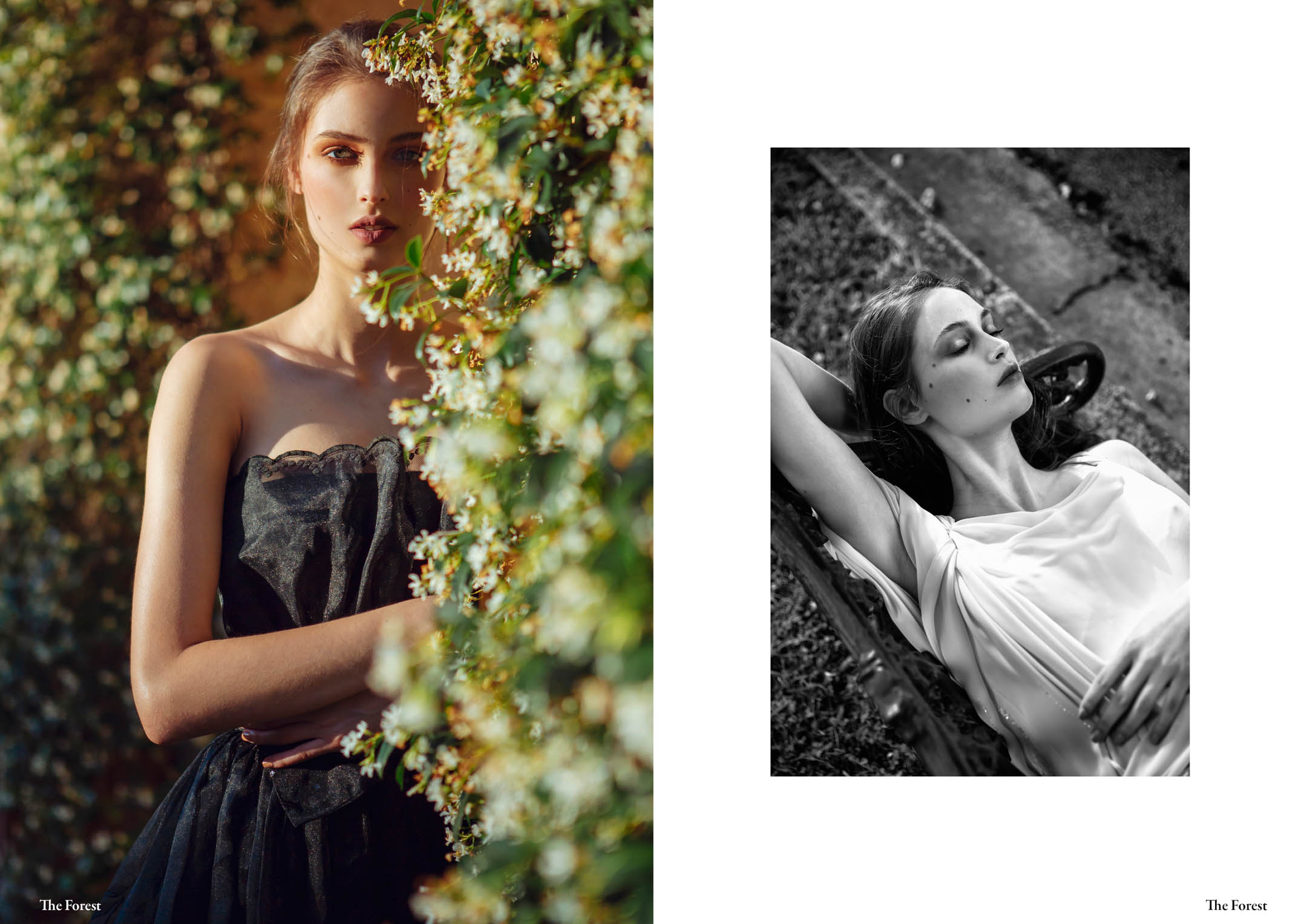 Lucia Tentor & Luca Cadamuro | In The Garden | The Forest