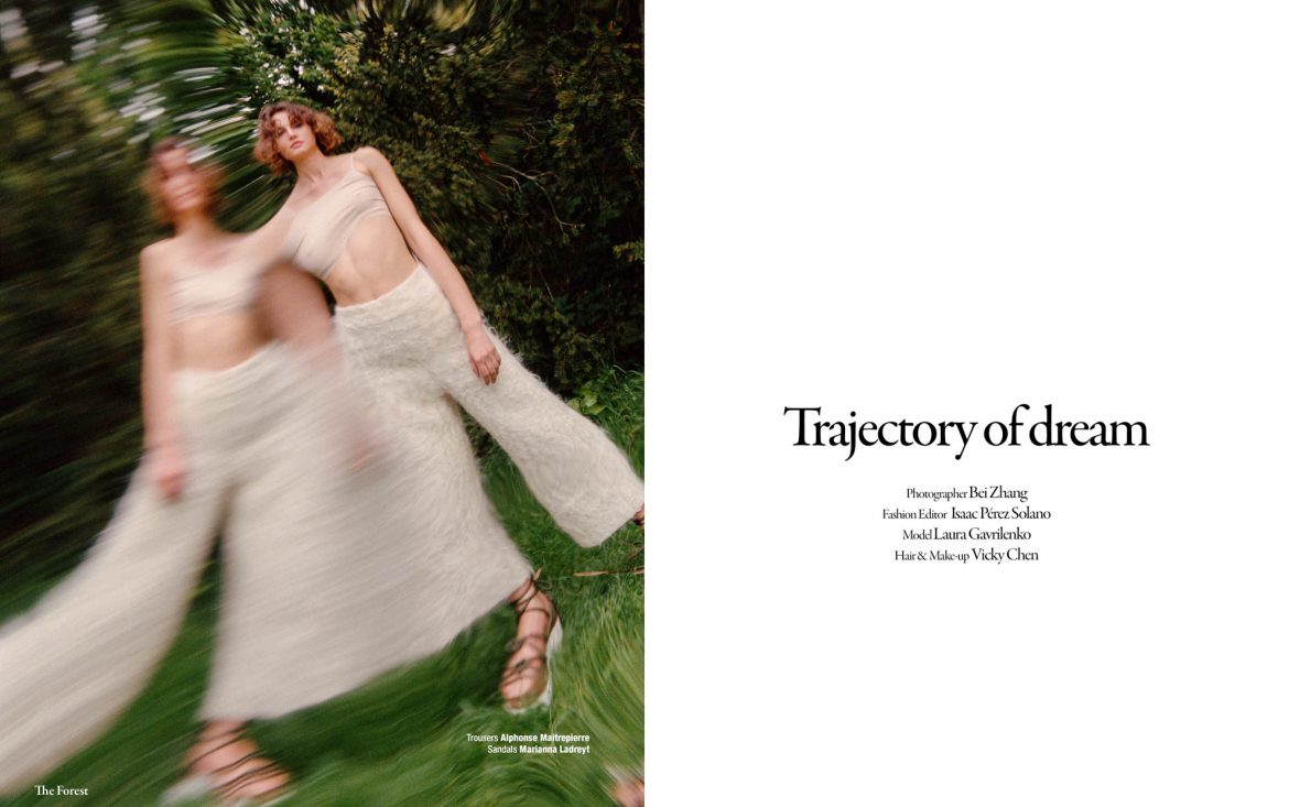 Bei Zheng | Trajectory of Dream | The Forest